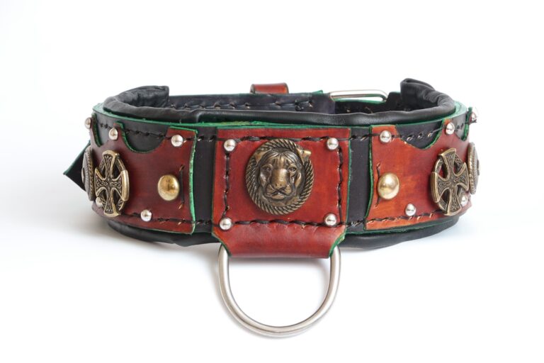 American Bully collar handmade | Leather for Pets