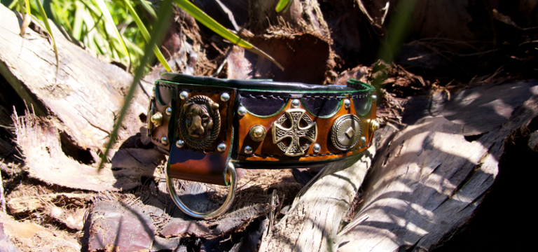 American Bully collar handmade | Leather for Pets