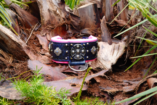 American Bully collar | Leather for Pets