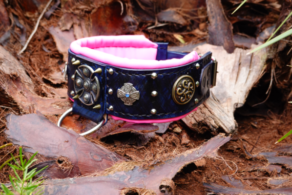 American Bully collar | Leather for Pets