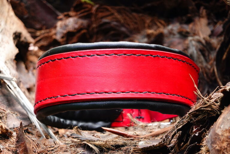StarHawk RED dog collar | Leather for Pets