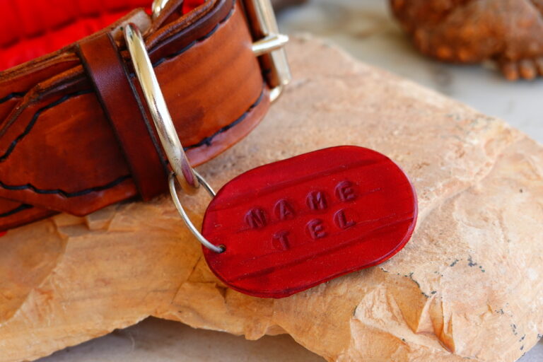 Dog ID Tag Red | Leather for Pets