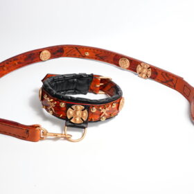American Bully XL collar , American Pitbull collar , Pocket Bully ...