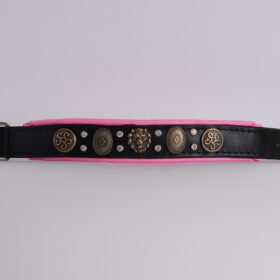American Bully XL collar , American Pitbull collar , Pocket Bully ...
