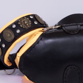 American Bully XL collar , American Pitbull collar , Pocket Bully ...