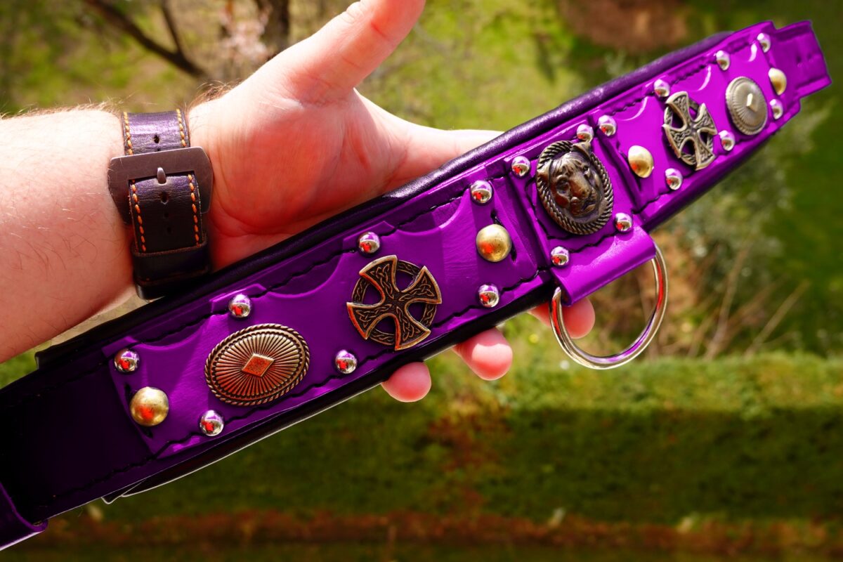 Purple Dog Collar , Bully Collar , American Bully XL collar | Leather ...