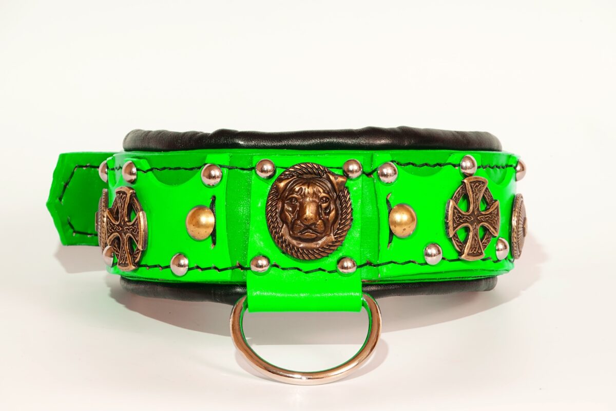 Neon Green Bully Collar , American Pitbull Collar , Bully Collar ...