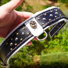 American Bully XL collar , American Pitbull collar , Pocket Bully ...