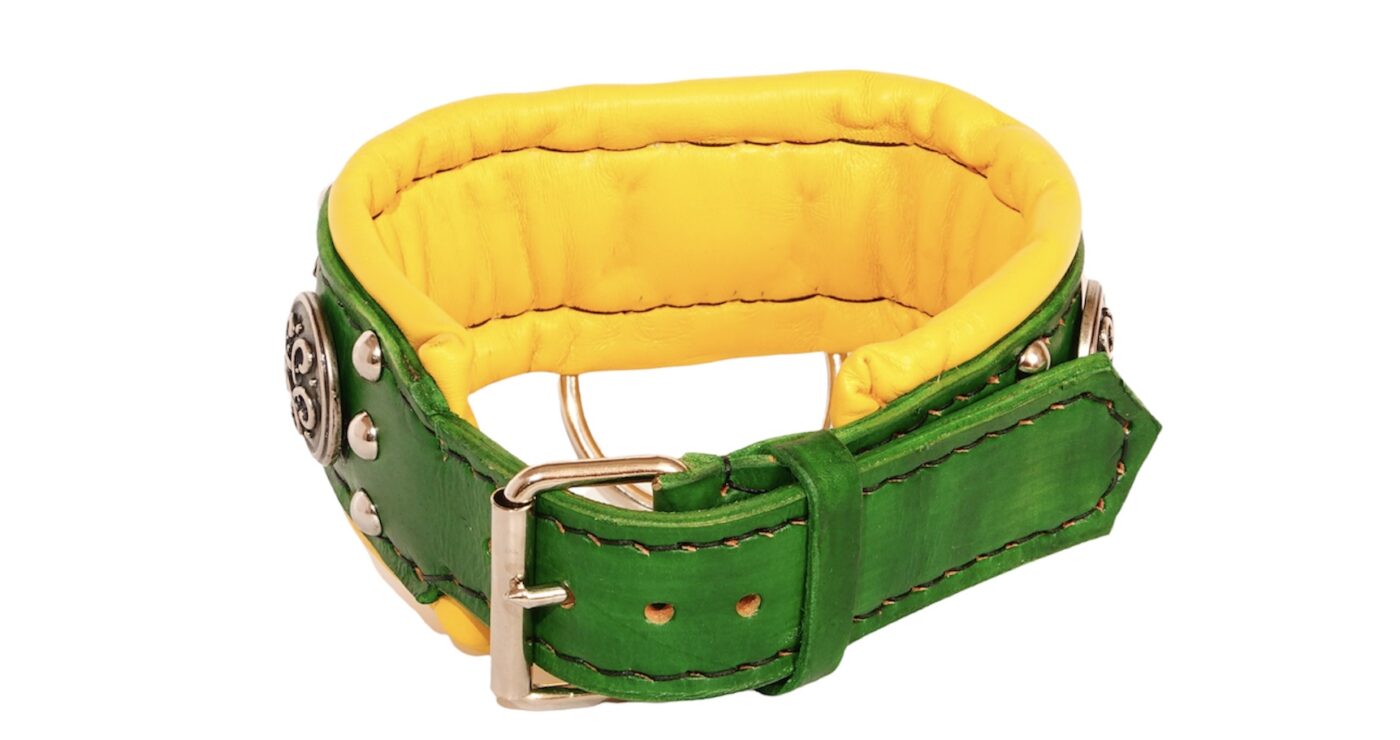 Staffordshire Collars , Staffy collar , Pocket Bully Collar ...