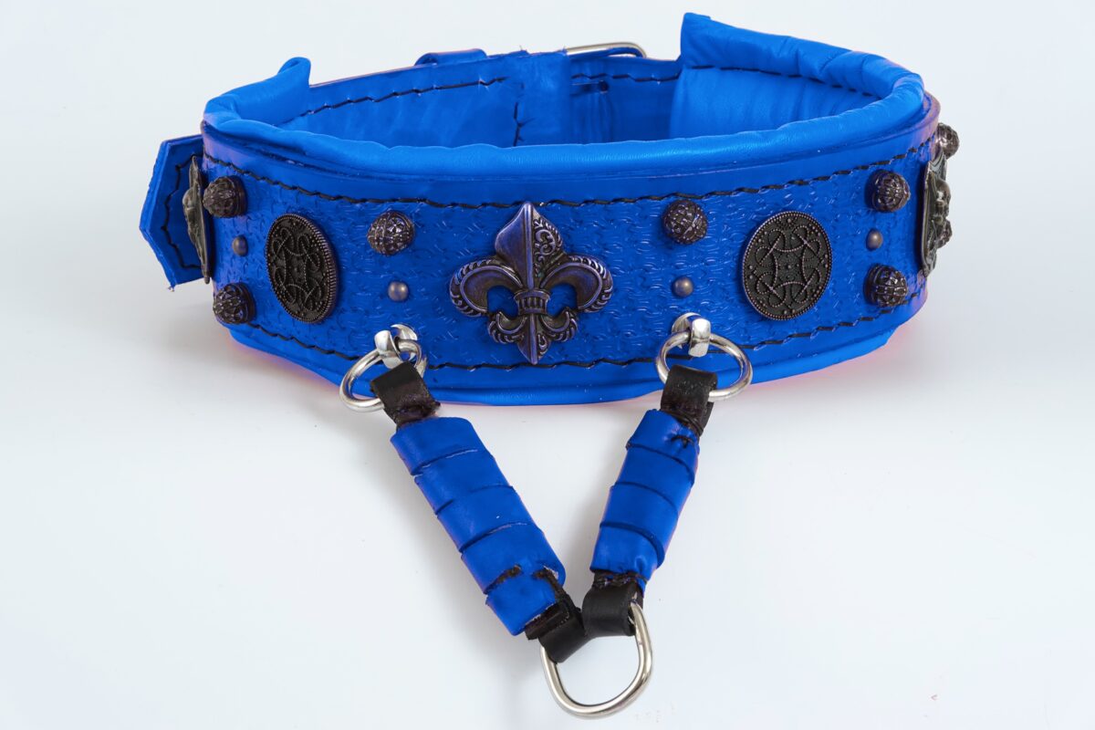 Bullmastiff collar , Neapolitan Mastiff Collar , Cane Corso collar ...