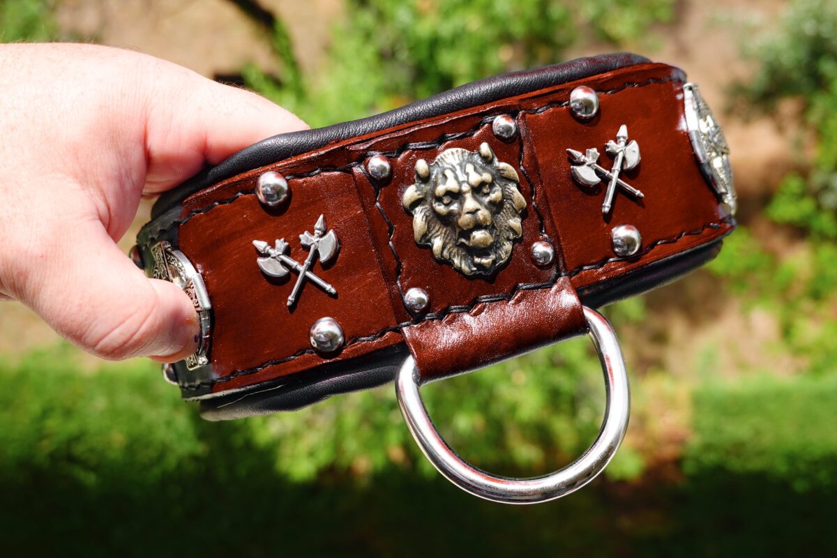 Mastiff Collar , Cane Corso collar , Bullmastiff collar, BoerBoel ...