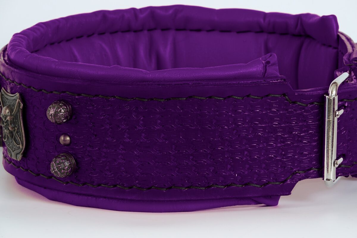 Medieval leather dog collar , Boerboel collar , cane corso collar ...