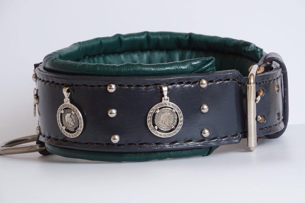The Spartan , Cane Corso collar , Rottweiler Collar , Bully Collar ...