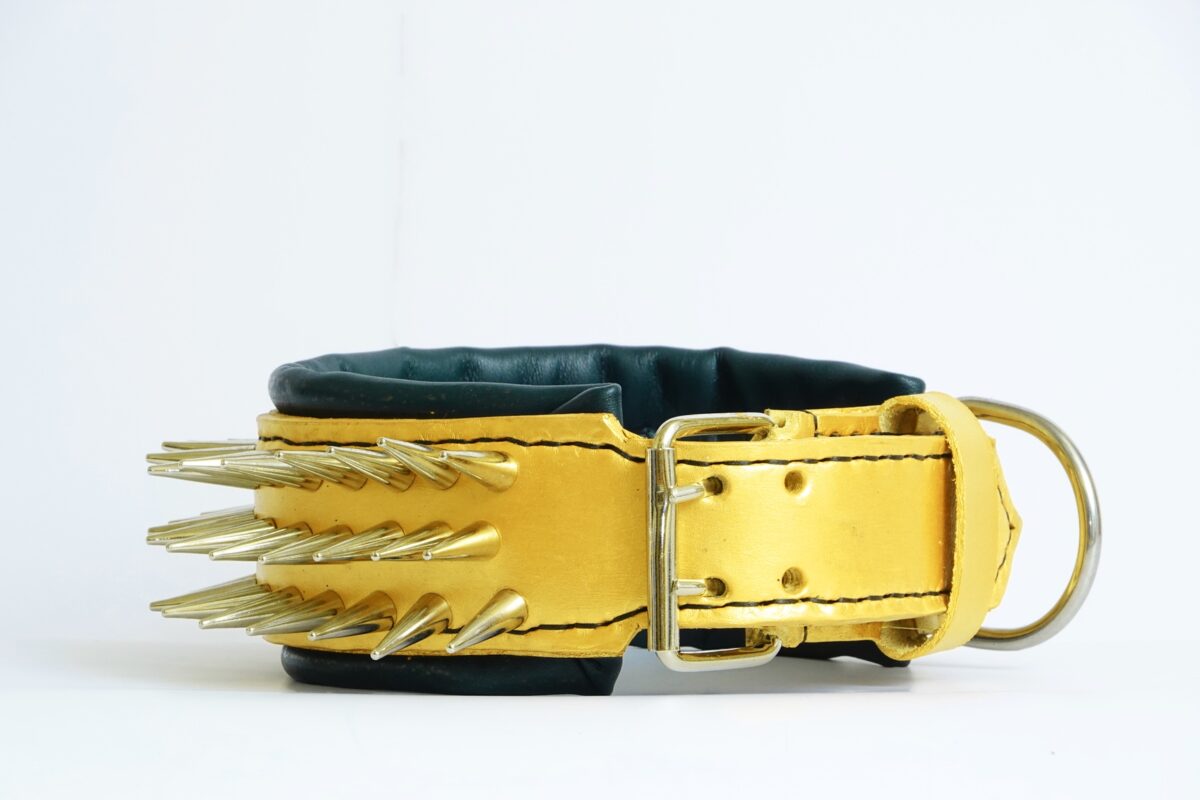 American Bulldog Collar , American Bully Collar , American PitBull ...