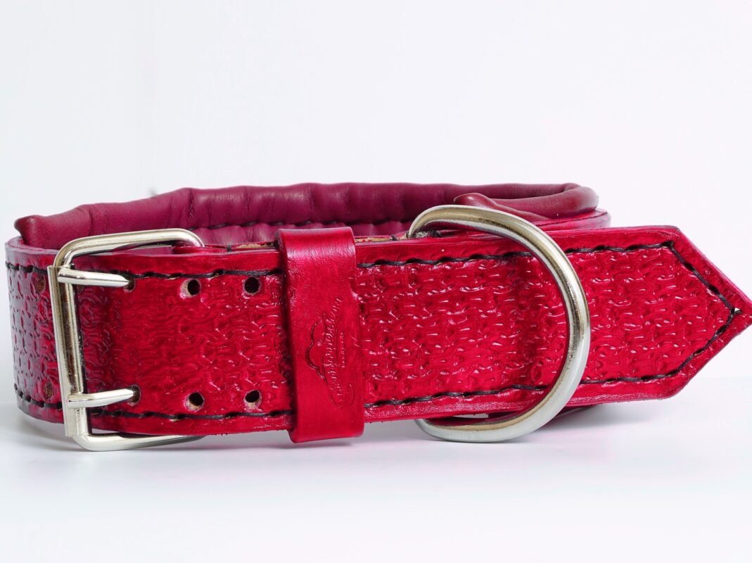 Bespoke leather dog collar , Cane Corso Collar , BoerBoel Collar ...