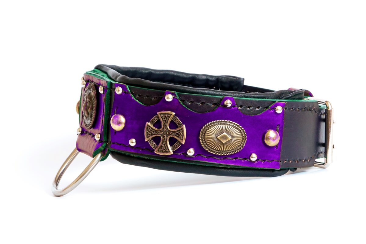 American Pitbull Terrier Collar , American Bully Collar , Bully XL ...