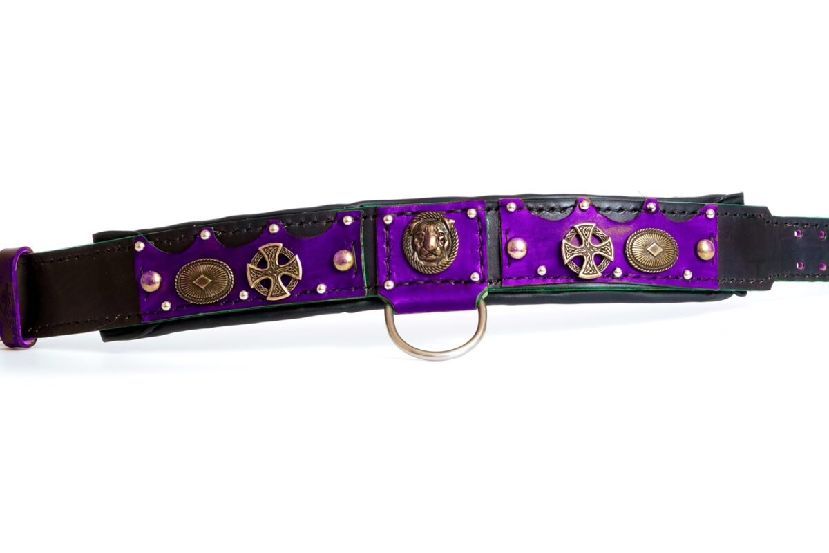 American Pitbull Terrier Collar , American Bully Collar , Bully XL ...