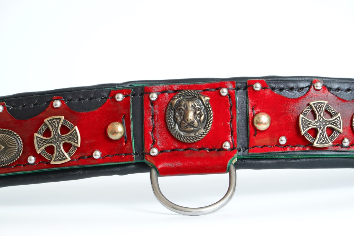 American Bully XL collar , American Pitbull collar , Pocket Bully ...