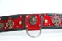 American Bully XL collar , American Pitbull collar , Pocket Bully ...