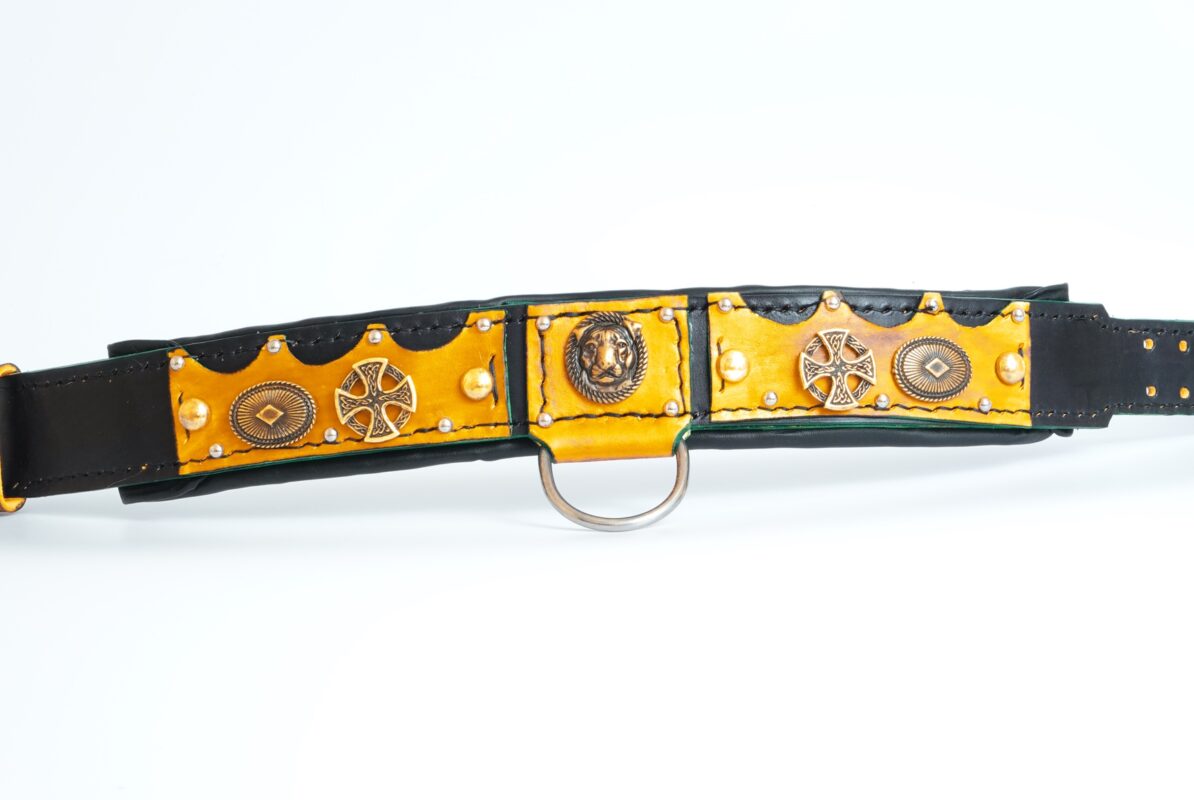 American Pitbull Collar , American Bully XL Collar , American Bully ...