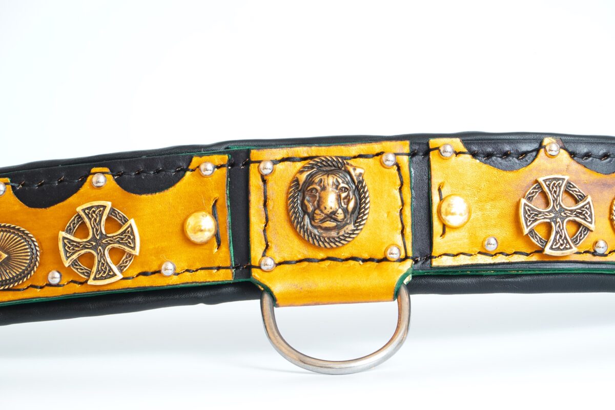 American Pitbull Collar , American Bully XL Collar , American Bully ...