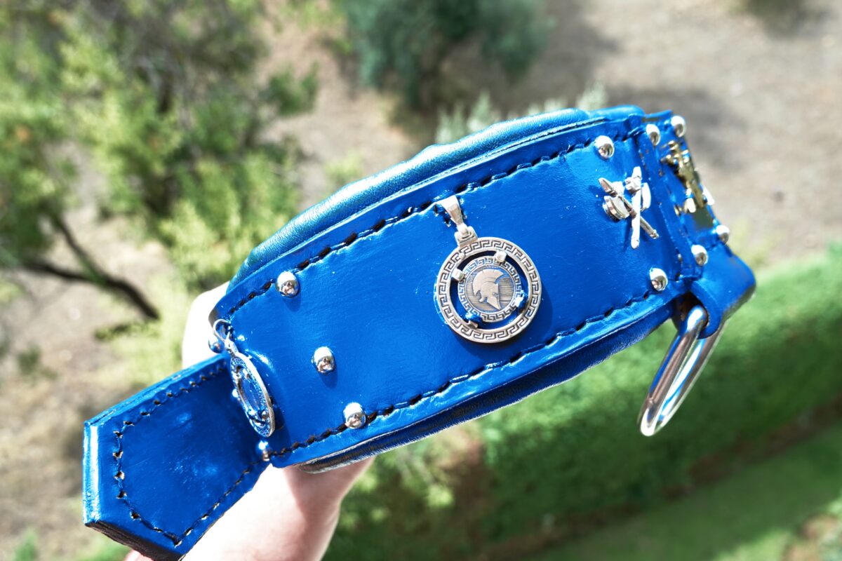 American Mastiff Collar , BoerBoel Collar , Pyrenean Mastiff Collar ...