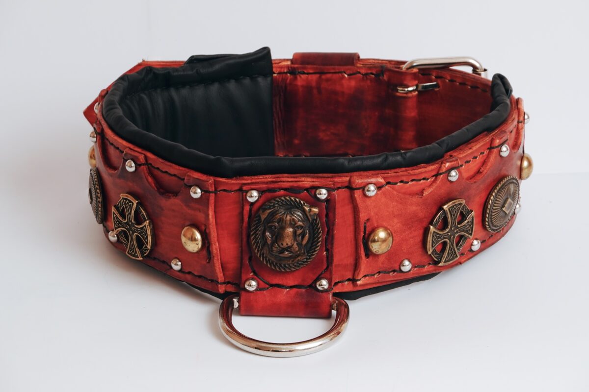 American Pitbull Collar , American Bully XL Collar , Bully Collar ...