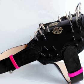 American Bully XL collar , American Pitbull collar , Pocket Bully ...