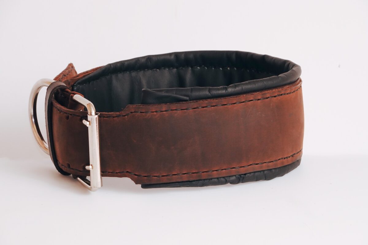 Crazy Horse leather dog collar , Cane Corso Collar , BoerBoel Collar ...