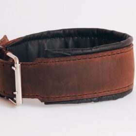 American Bully XL collar , American Pitbull collar , Pocket Bully ...