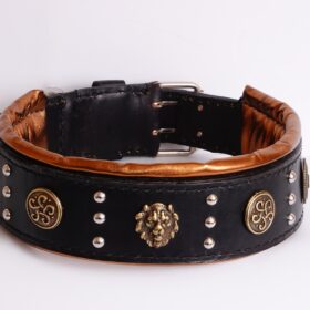 American Bully XL collar , American Pitbull collar , Pocket Bully ...