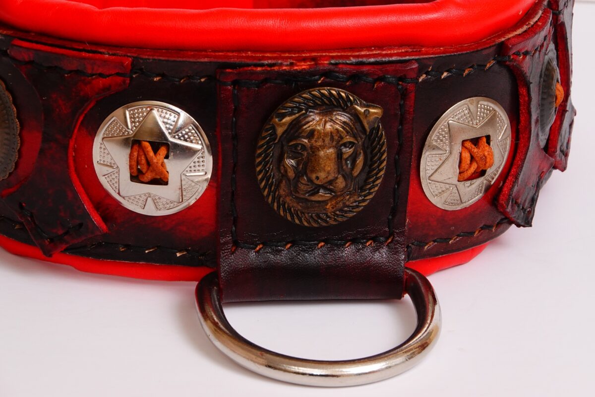 Red and Black American Pitbull and Bully Collar, Stars and Conchos ...
