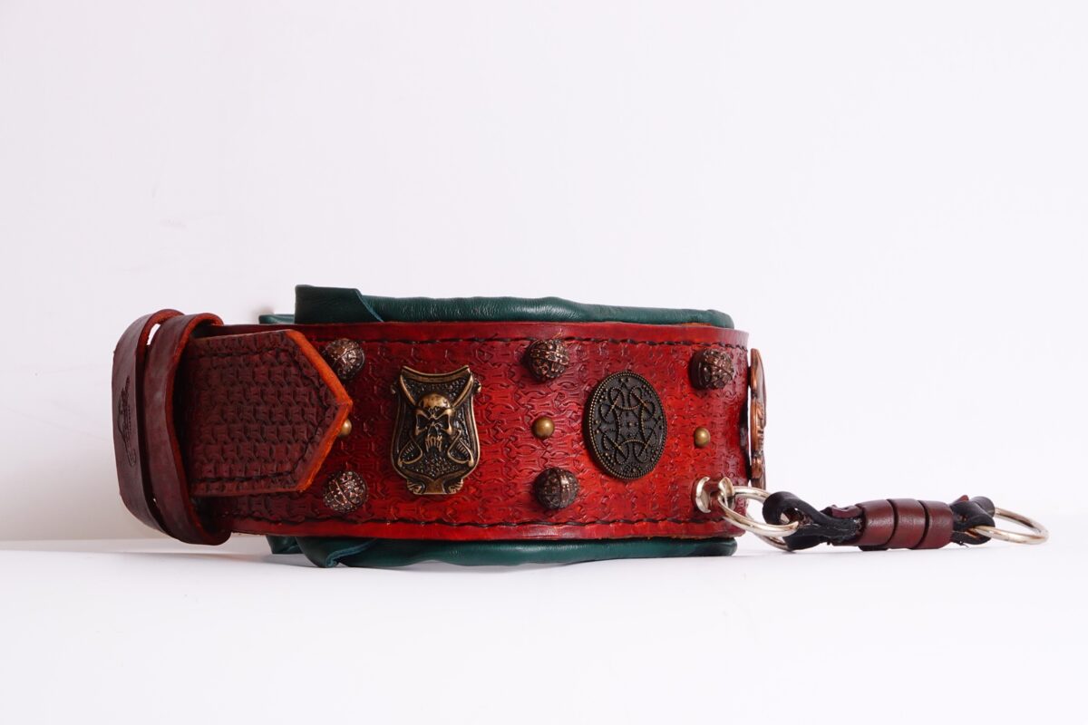 Leather Dog Collar for big Mastiffs | Leather for Pets