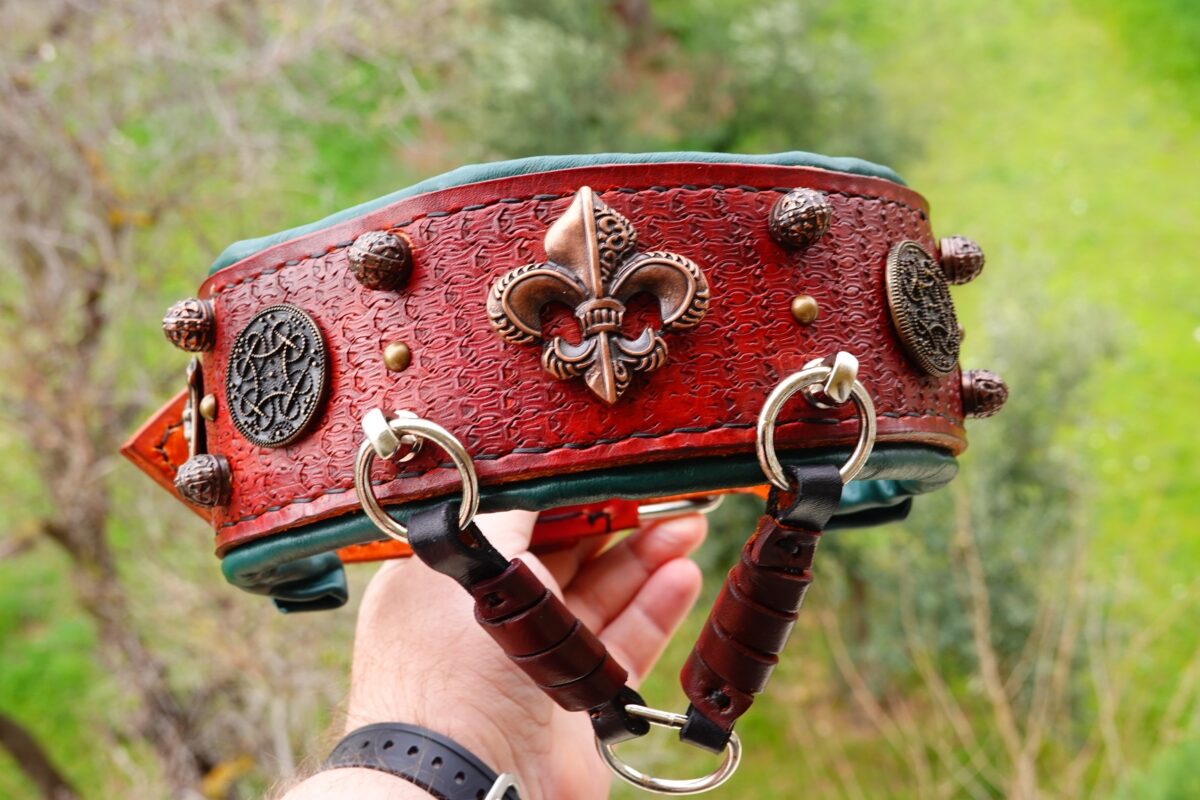 Leather Dog Collar for big Mastiffs | Leather for Pets