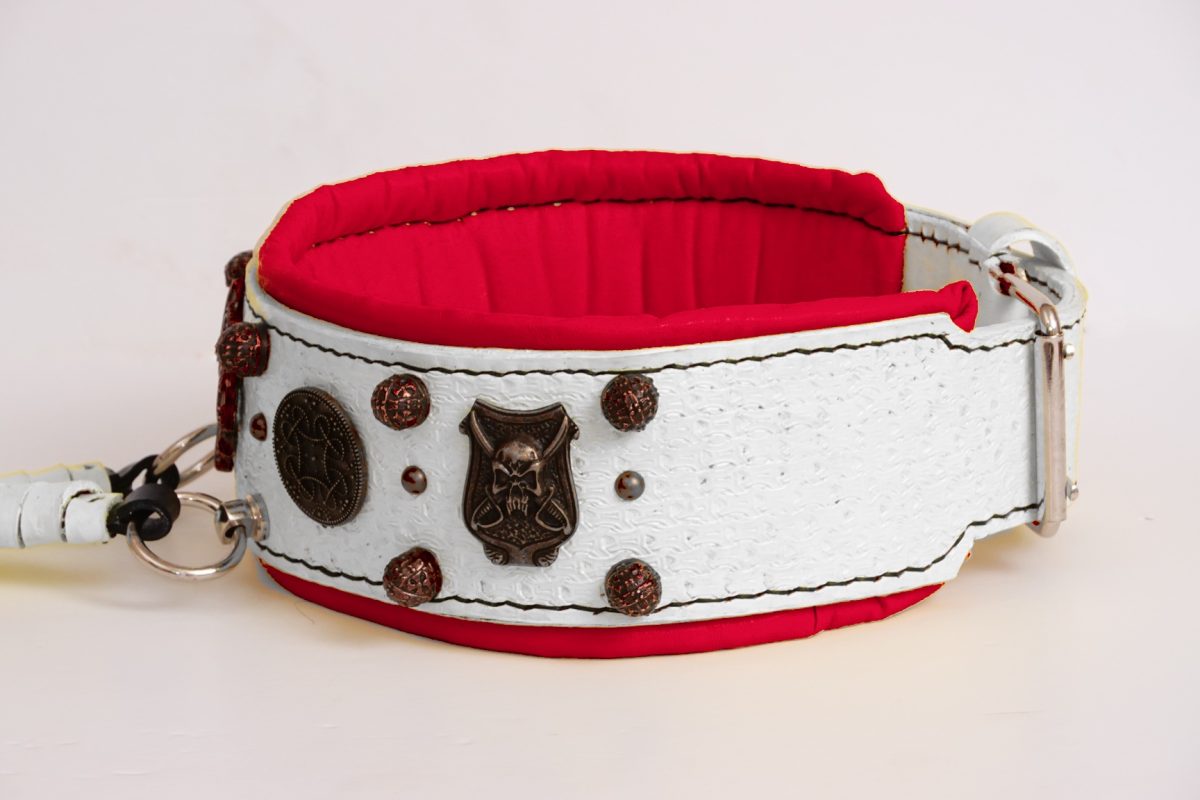 Leather Dog Collar for the Cane Corso | Leather for Pets