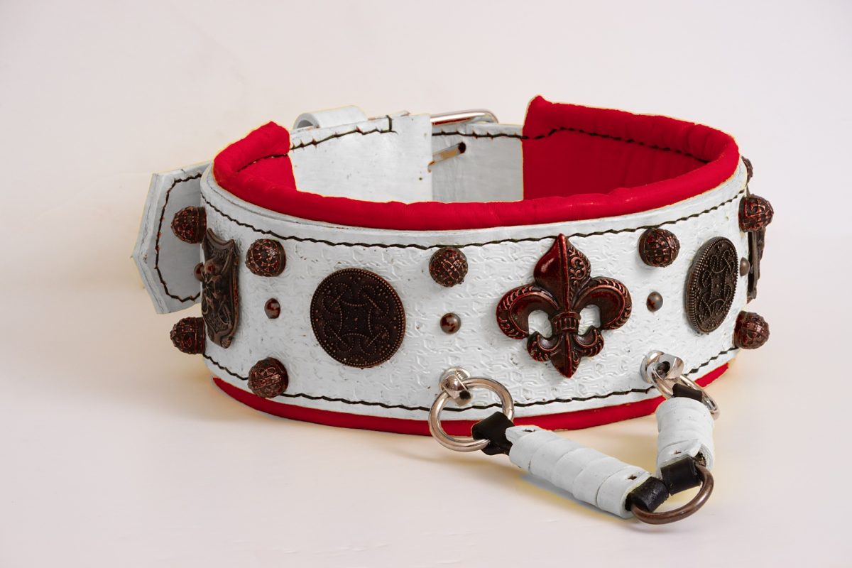 Leather Dog Collar for the Cane Corso | Leather for Pets