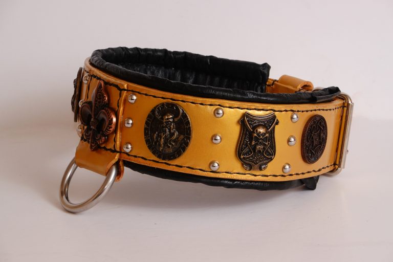 Medieval Gold Luxury Dog Collar | Leather for Pets