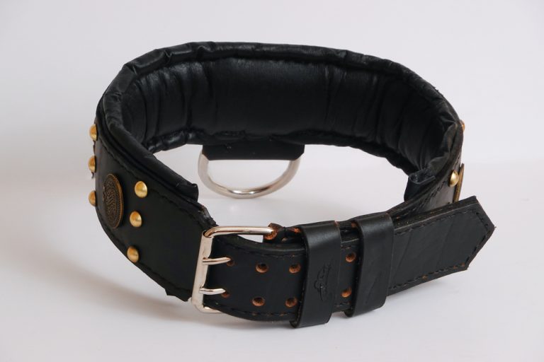 Roman Dog Collar for Cane Corso – Julius Caesar-Inspired Leather ...