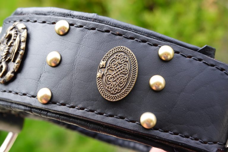 Roman Dog Collar for Cane Corso – Julius Caesar-Inspired Leather ...