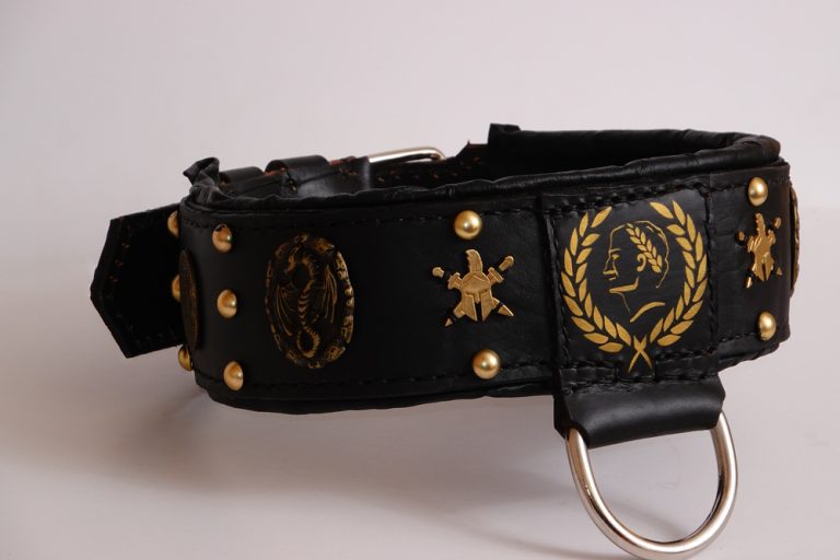 Roman Dog Collar for Cane Corso – Julius Caesar-Inspired Leather ...