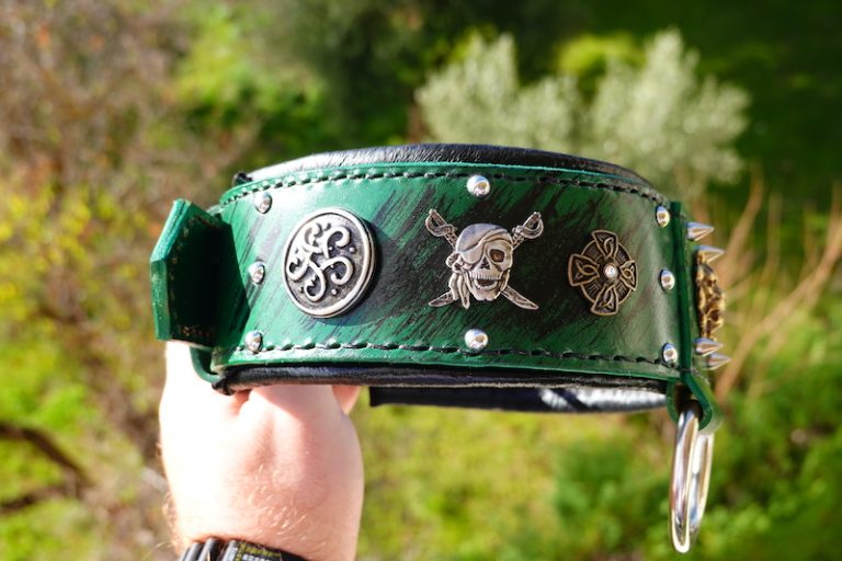 Dark Green leather dog collar | Leather for Pets