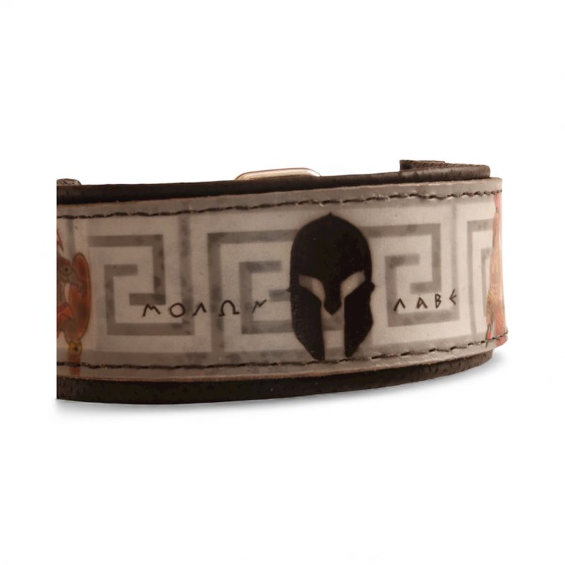 Spartan Leather Dog Collar Molon Lave | leatherforpets