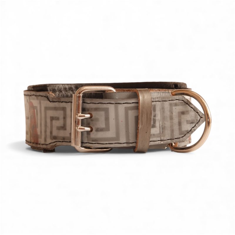 Spartan Leather Dog Collar Molon Lave | leatherforpets